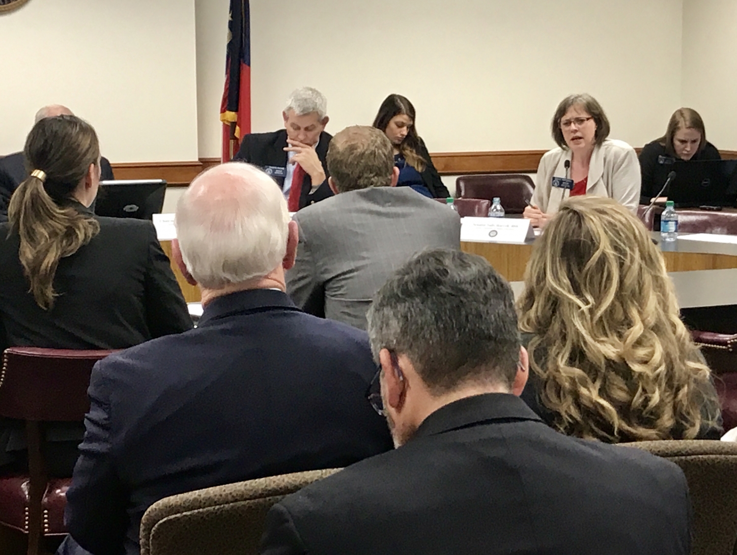 Sally’s Senate Snapshot #9 – Elect Sally Harrell