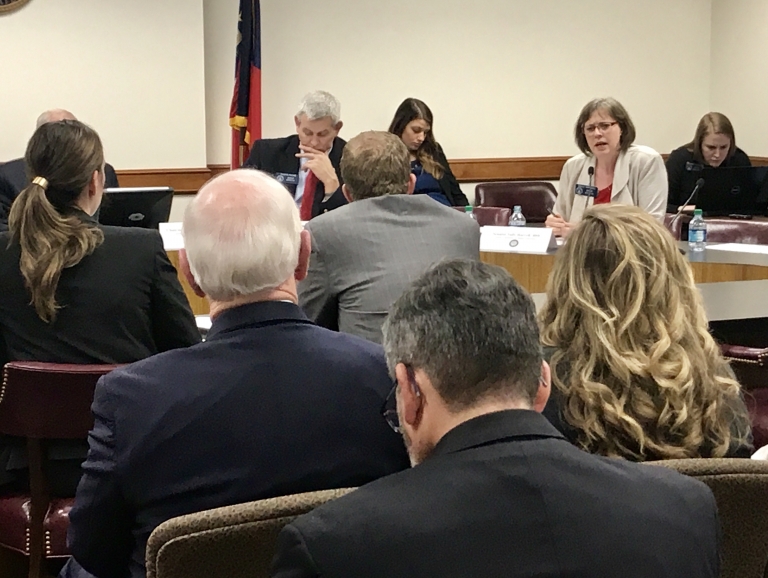 Sally’s Senate Snapshot #9 – Elect Sally Harrell