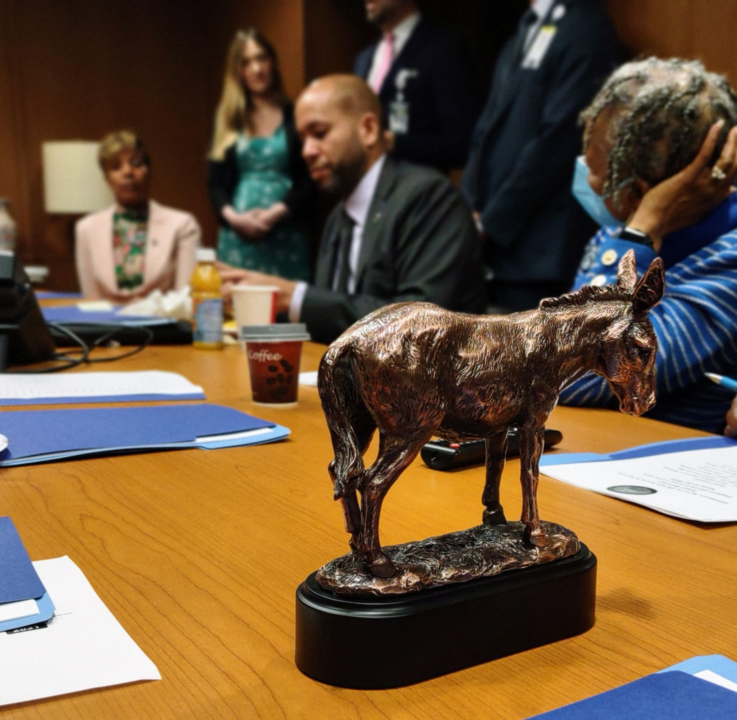 Elect Sally Harrell – The strong progressive voice we need.